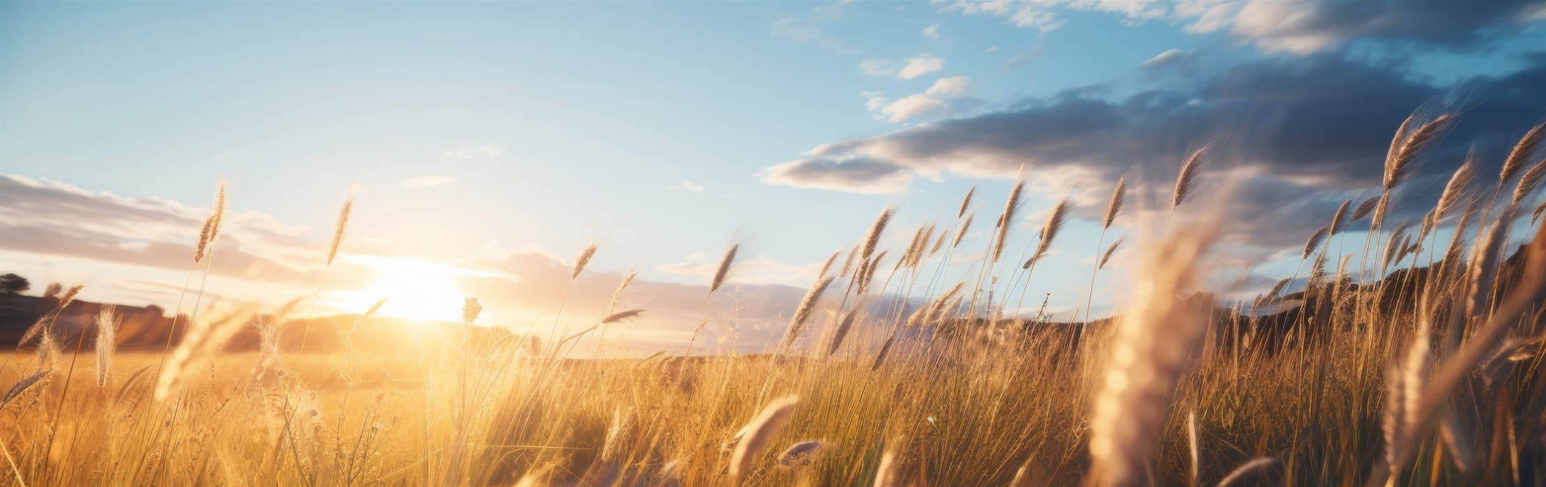 Obituary, Visitation & Funeral Information | Doris May Cobb